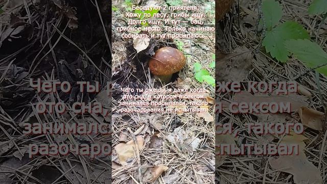 Анекдот сон про грибы