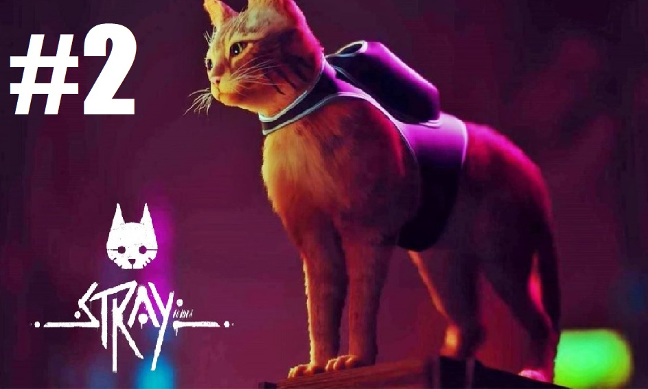 B-12 и Живой город /|\ Stray Прохождение #2