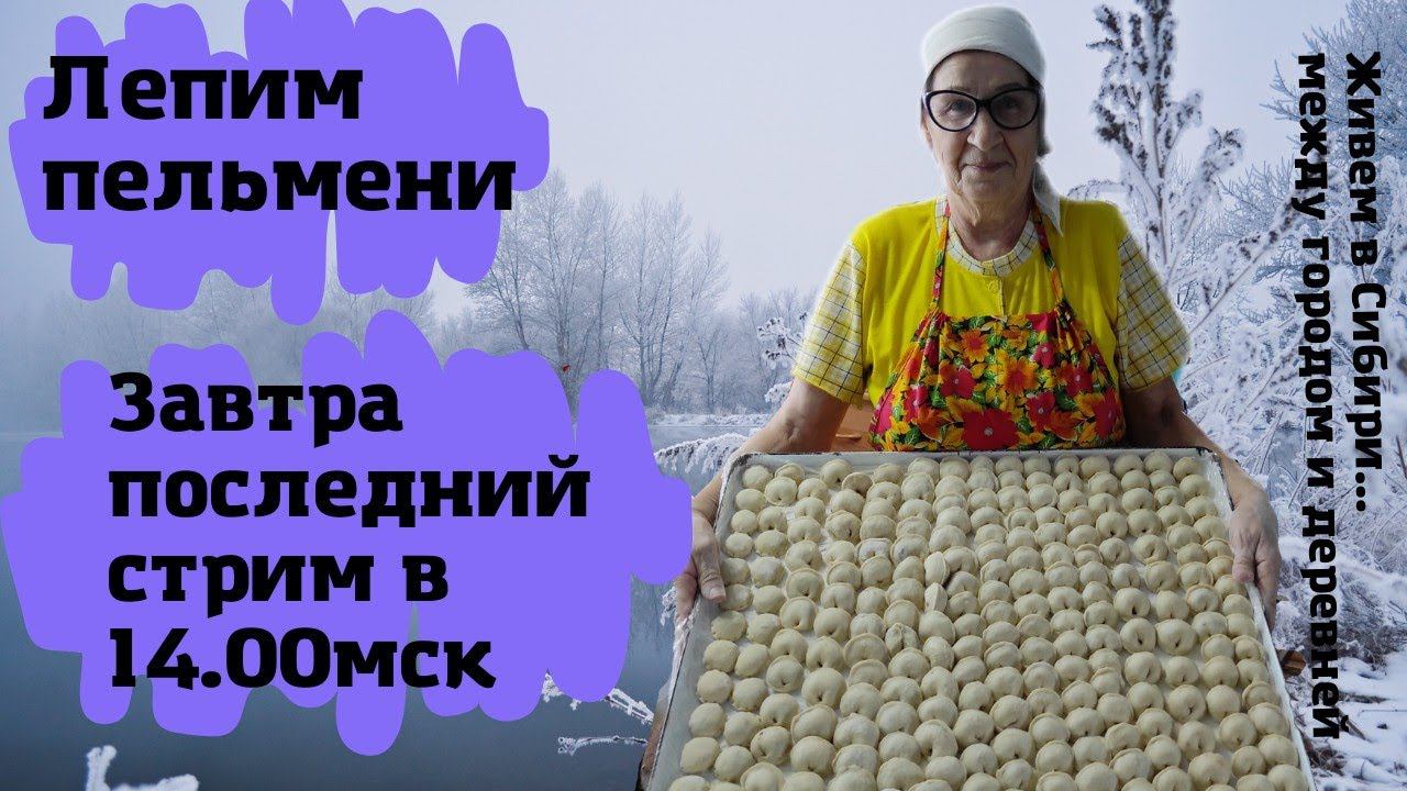 25.12.2021 Налепили чуть-чуть пельменей. Завтра последний стрим в этом году!