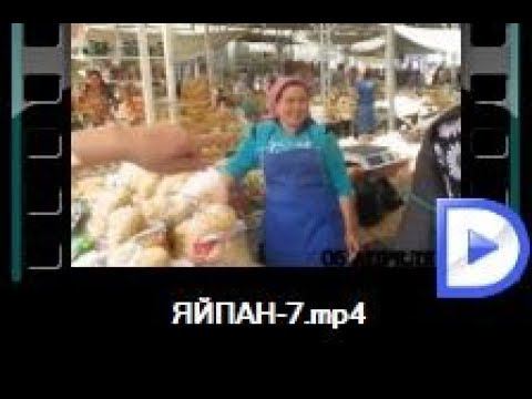 Яйпан 7