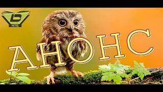 Анонс мероприятия «Открой для себя удивительный мир птиц»