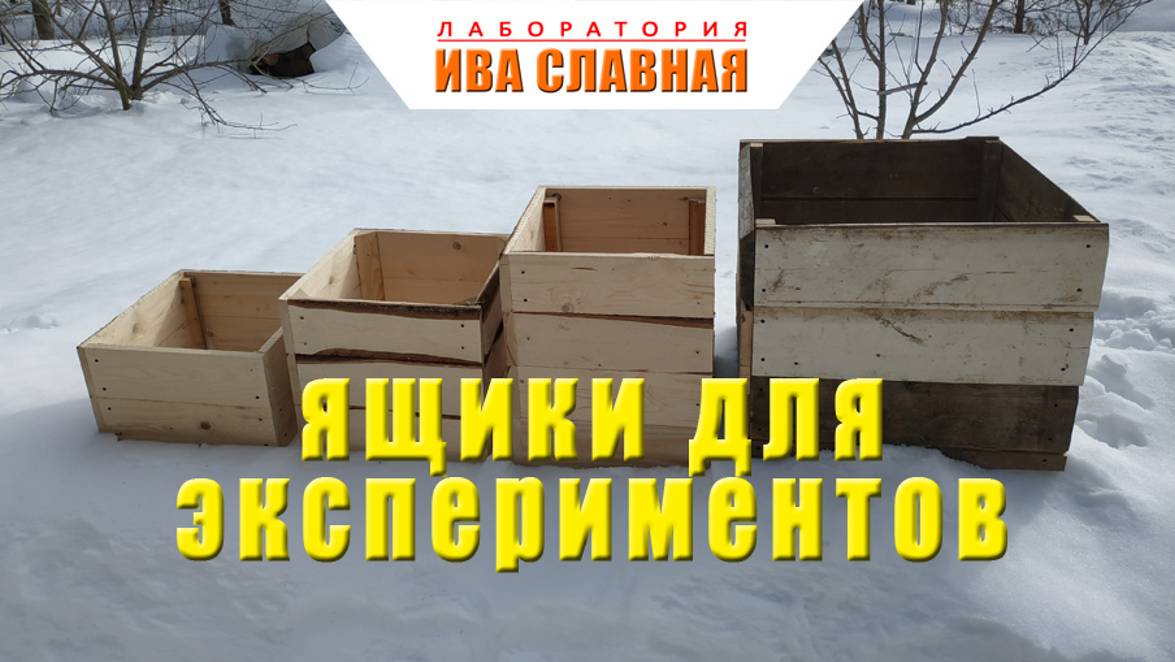 Лаборатория Ивы Славной: Ящики для экспериментов (05.03.2024)