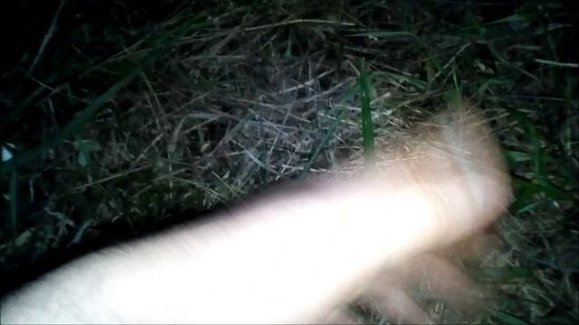 живя в городе здоровья не будет!вот почему!