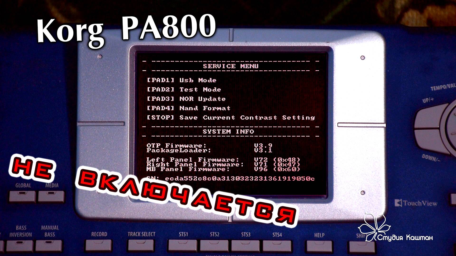 Korg PA800 не включается