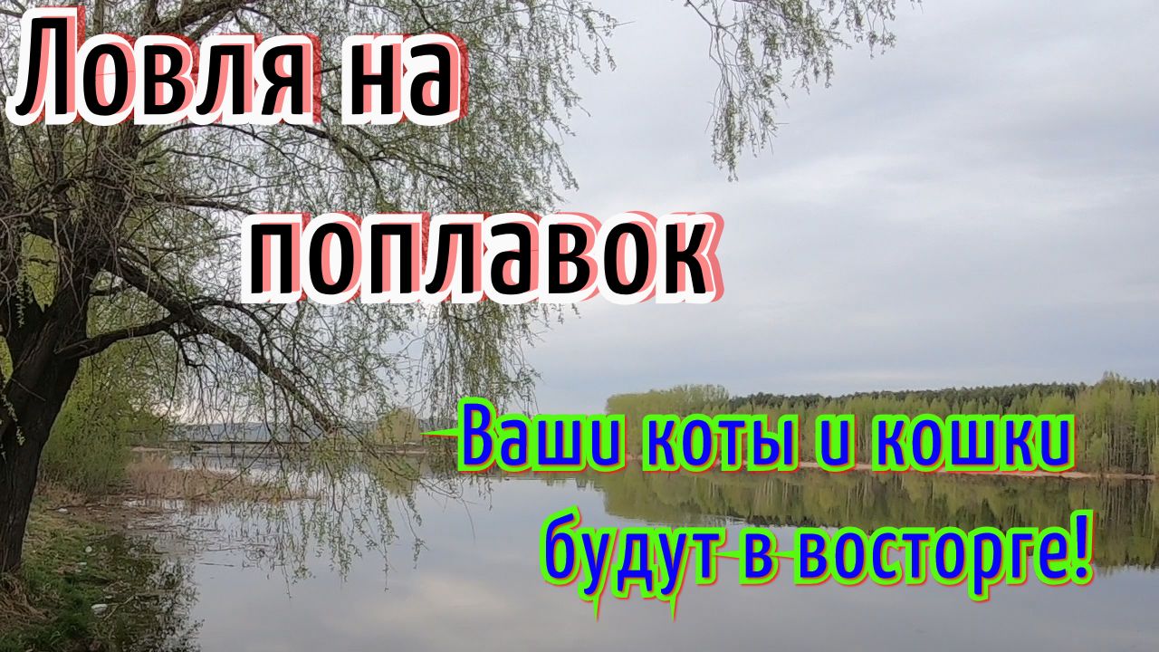 Рыбалка на поплавок. Сходим с ума в запрет! Густерочки и прочая лаврушка!