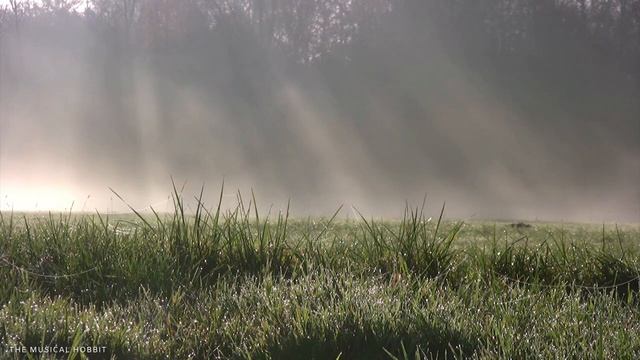 Прекрасная утренняя музыка - вдохновляющая и свежая позитивная энергия