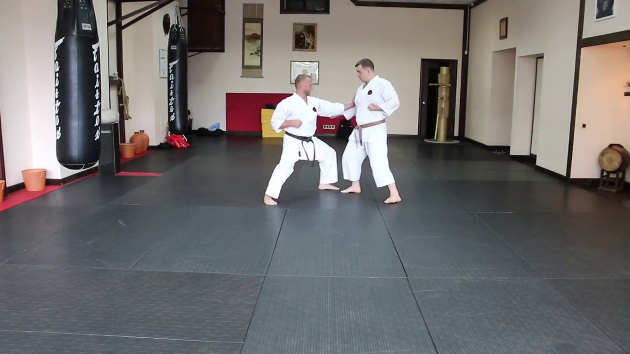 Goju Ryu karate-do. Sensei Aleksandr Grib. Demonstration Seisan kata. Kata Bunkai Seisan variants.