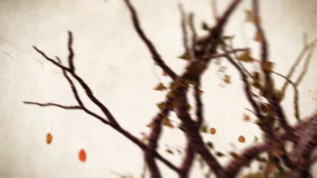 Çalıkuşu Jenerik ( Opening Title )