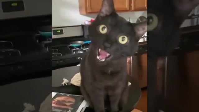 Когда ушла на 5 минут