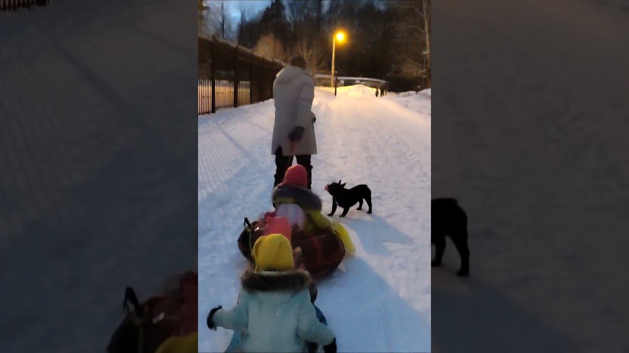 Многодетный отец #папавова #папаможет #винтик #ксюшаимаша #французскийбульдог #зима #всейсемьей