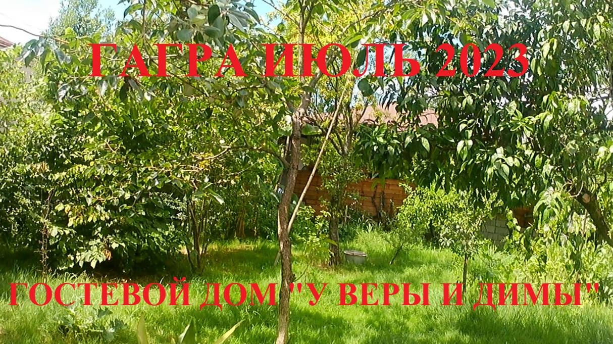 Гагра июль 2023. Вера и Дима приглашают в гости! ул. Б.Шинкуба, 32 ( бывшая улица Саят-Нова )