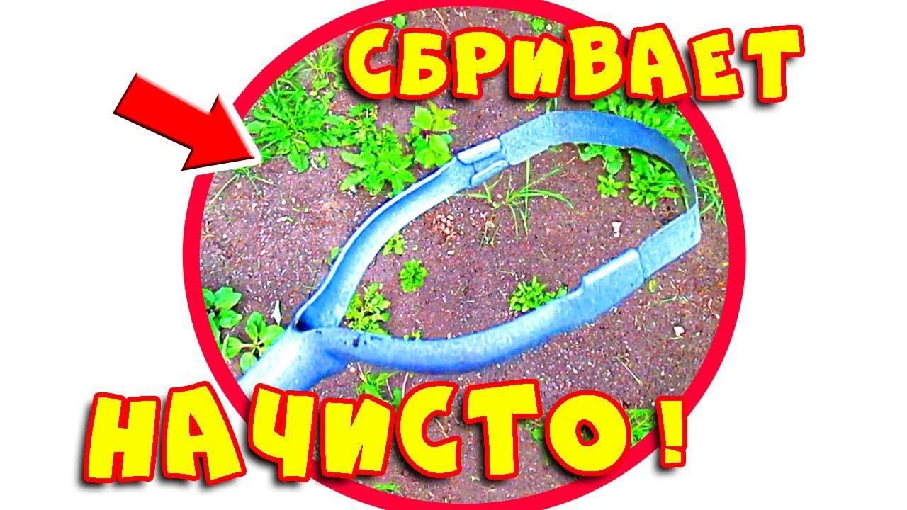 Как ИЗБАВИТЬСЯ от СОРНЯКОВ на даче: мой отзыв на ПЕТЛЕВИДНЫЙ ПОЛОЛЬНИК