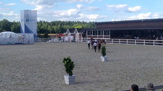 Парад пород - выпуск 1