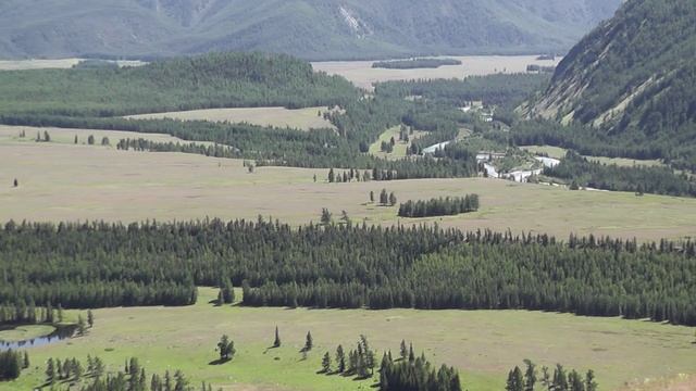 Степь Самаха. Республика Алтай.