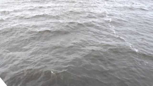 Клип моих круизных воспоминаний под романс "Белеет парус одинокий"