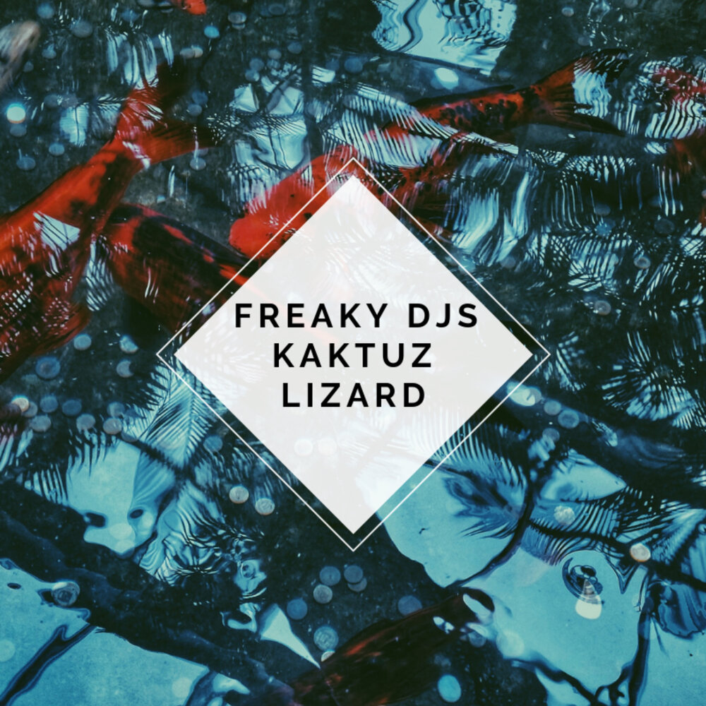 Freaky DJs & KaktuZ - Lizard