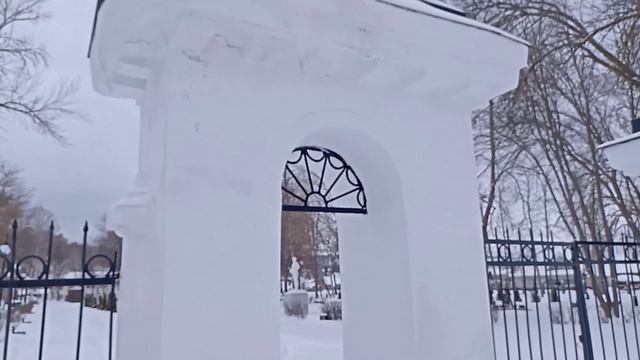 24.01.2024 Жигулёвск. Больничный парк, поликлиника № 1, Берёзовая роща.