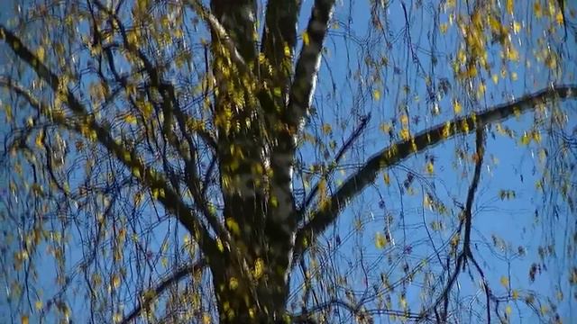 Осенний сон -ред. 2015-