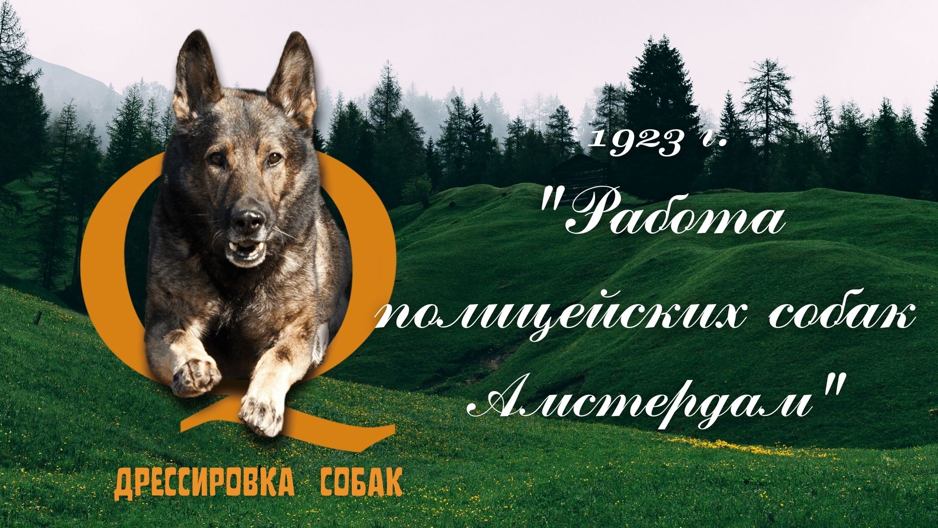 1923 Работа полицейских собак,Амстердам