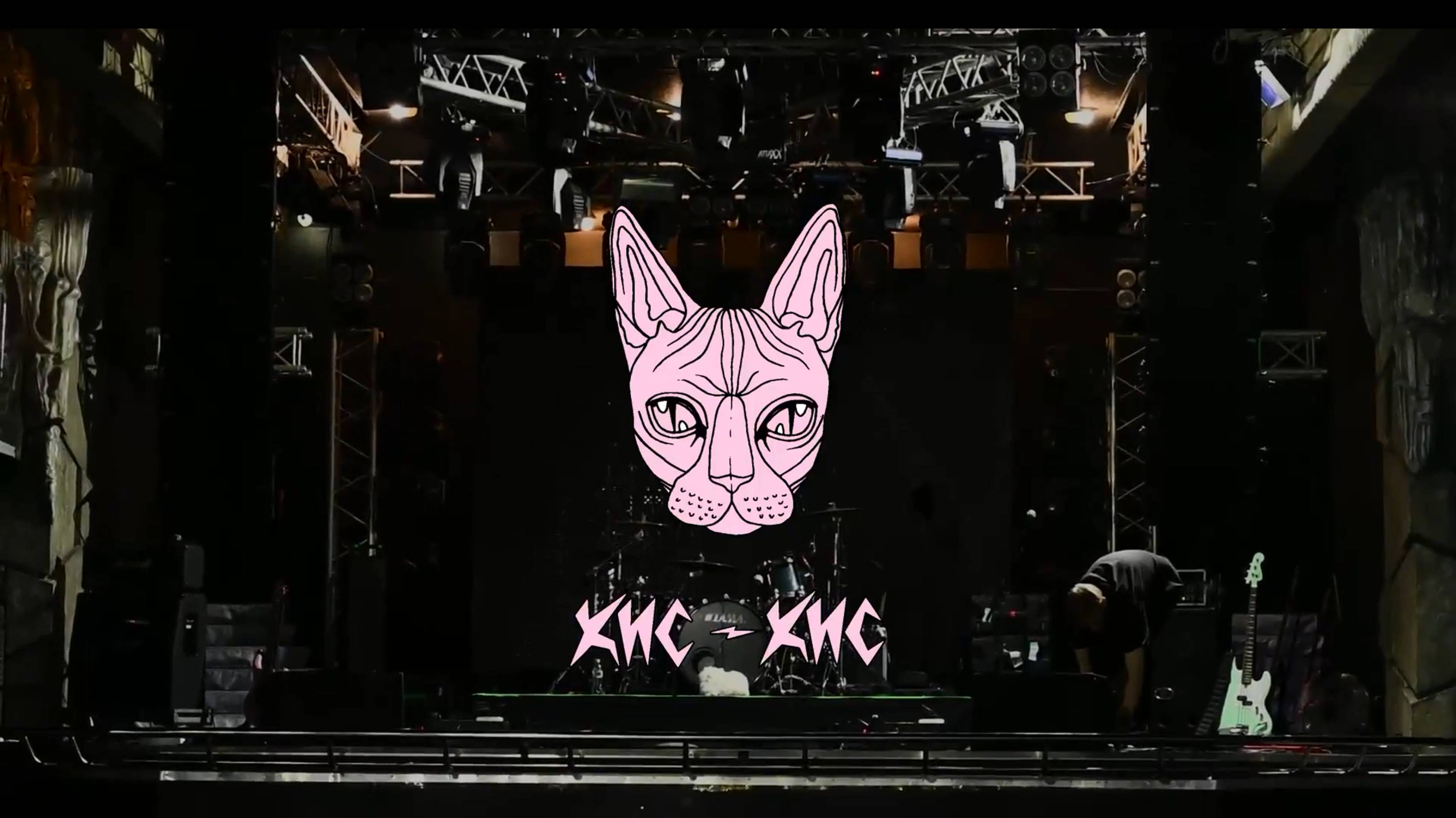 Кис-кис в Рязани 2021