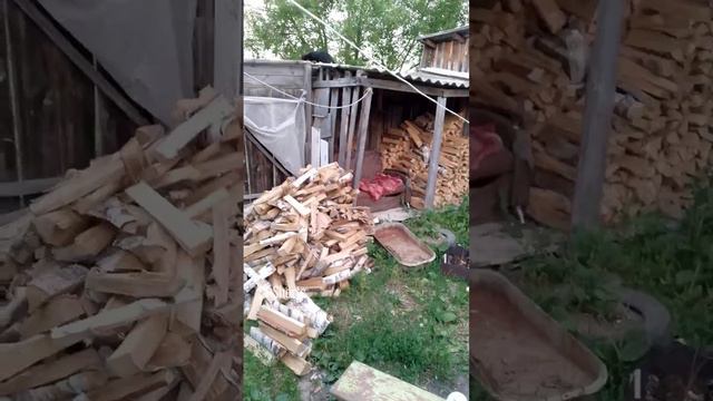 белый кот пытаеца залезть на крышу