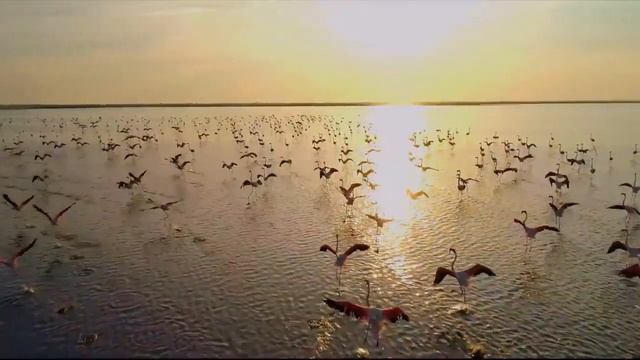 Что тебе подарить... Поёт Алексей Ярошевич.