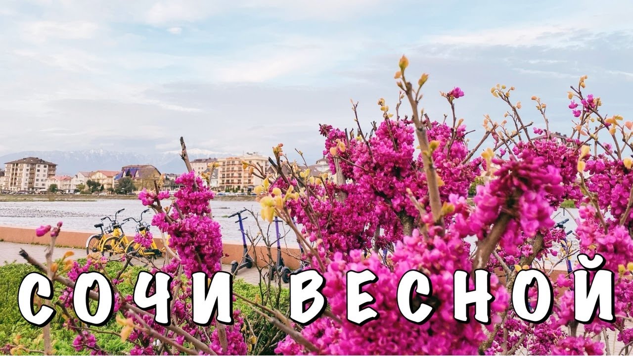 #1 ЕДЕМ В СОЧИ ВЕСНОЙ || ЗАСЕЛЯЕМСЯ В ОТЕЛЬ В АДЛЕРЕ || НАШЛИ ЦВЕТУЩИЙ ПЕРСИК