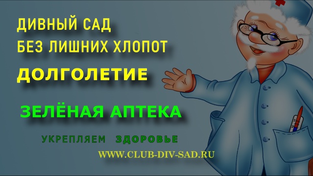 ЗЕЛЁНАЯ АПТЕКА