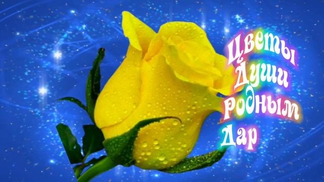 Ваша чашка кофе с горячим приветом! Обалденная открытка с чудесной музыкой!