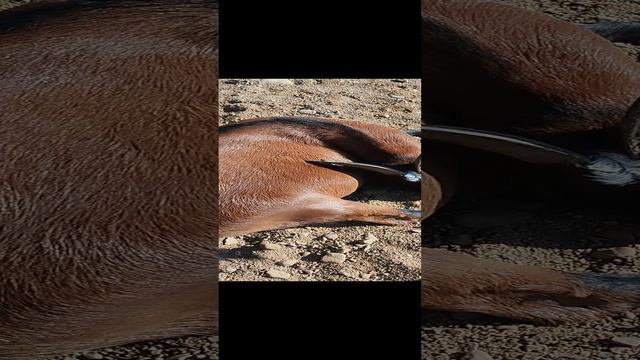 Доброе утречко!