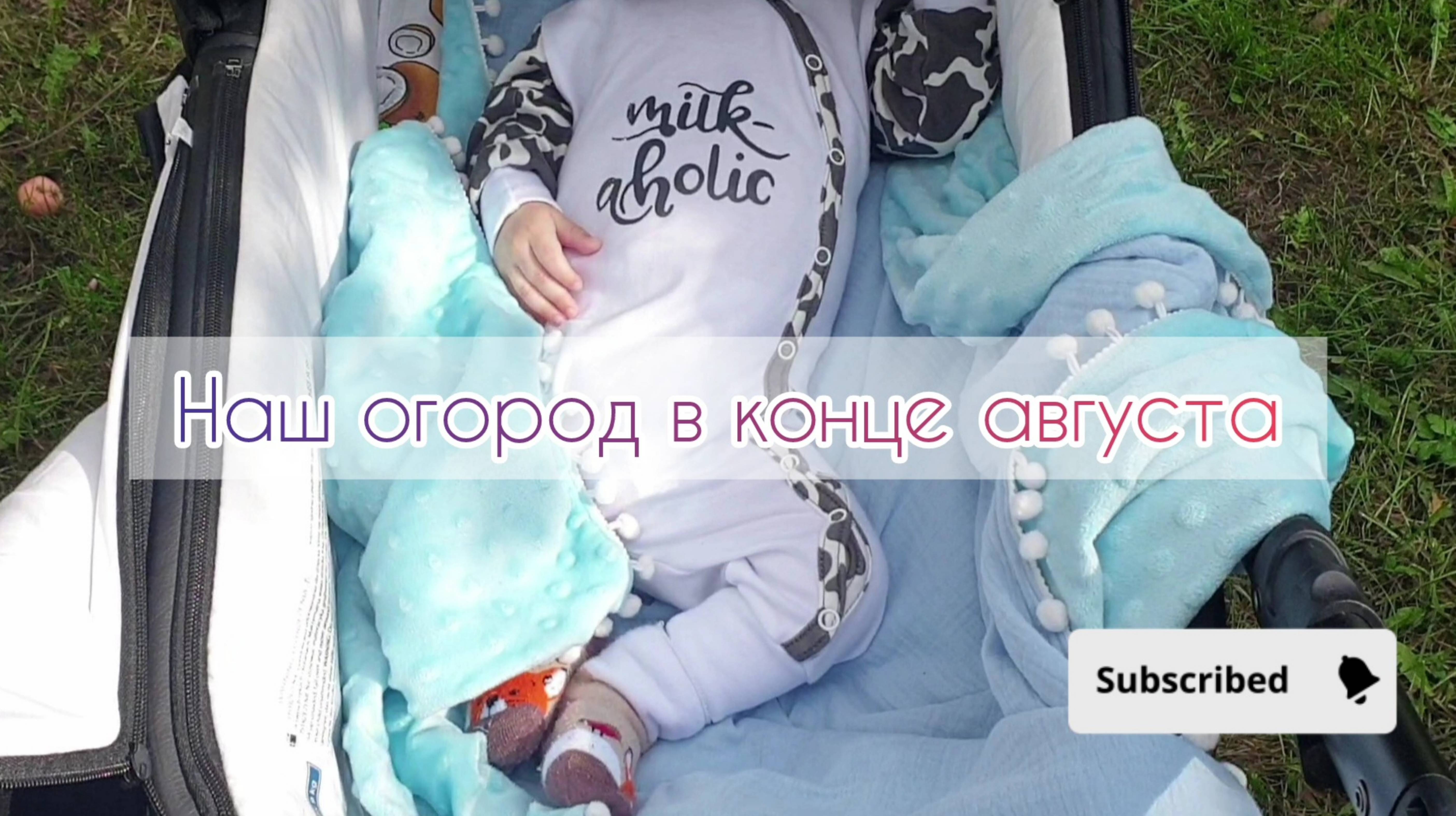 Наш огород в конце августа