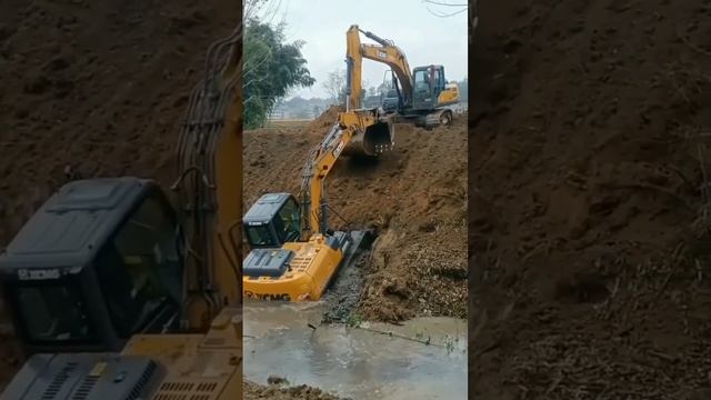 Как спасают собратьев