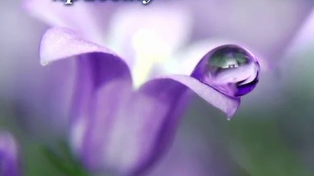 11.Красота Иисуса святись во мне..mp4