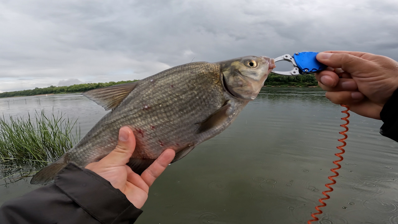 Куртка Aquatic КД-02. Рыбалка на Оке. Ловля в Дождь. Ультралайт.