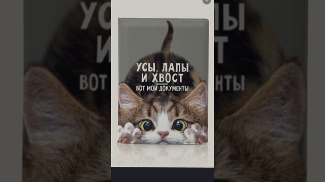 Мемные обложки на паспорт