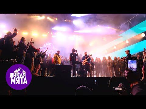 «Дикая Мята-2021» — единственное выступление на сцене Sirena