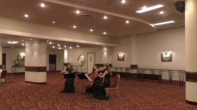 Скрипка на встречу гостей - струнное трио Violin Group DOLLS