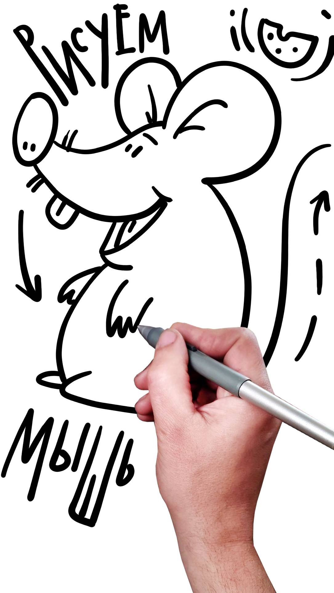 как нарисовать БЫСТРОмышь