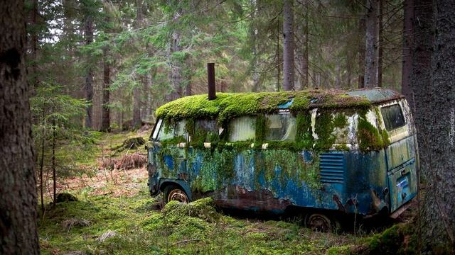 Южно Курильский сектор Фукусимской Аномальной Зоны Отчуждения  Остров Итуруп  Часть 2 .mp4