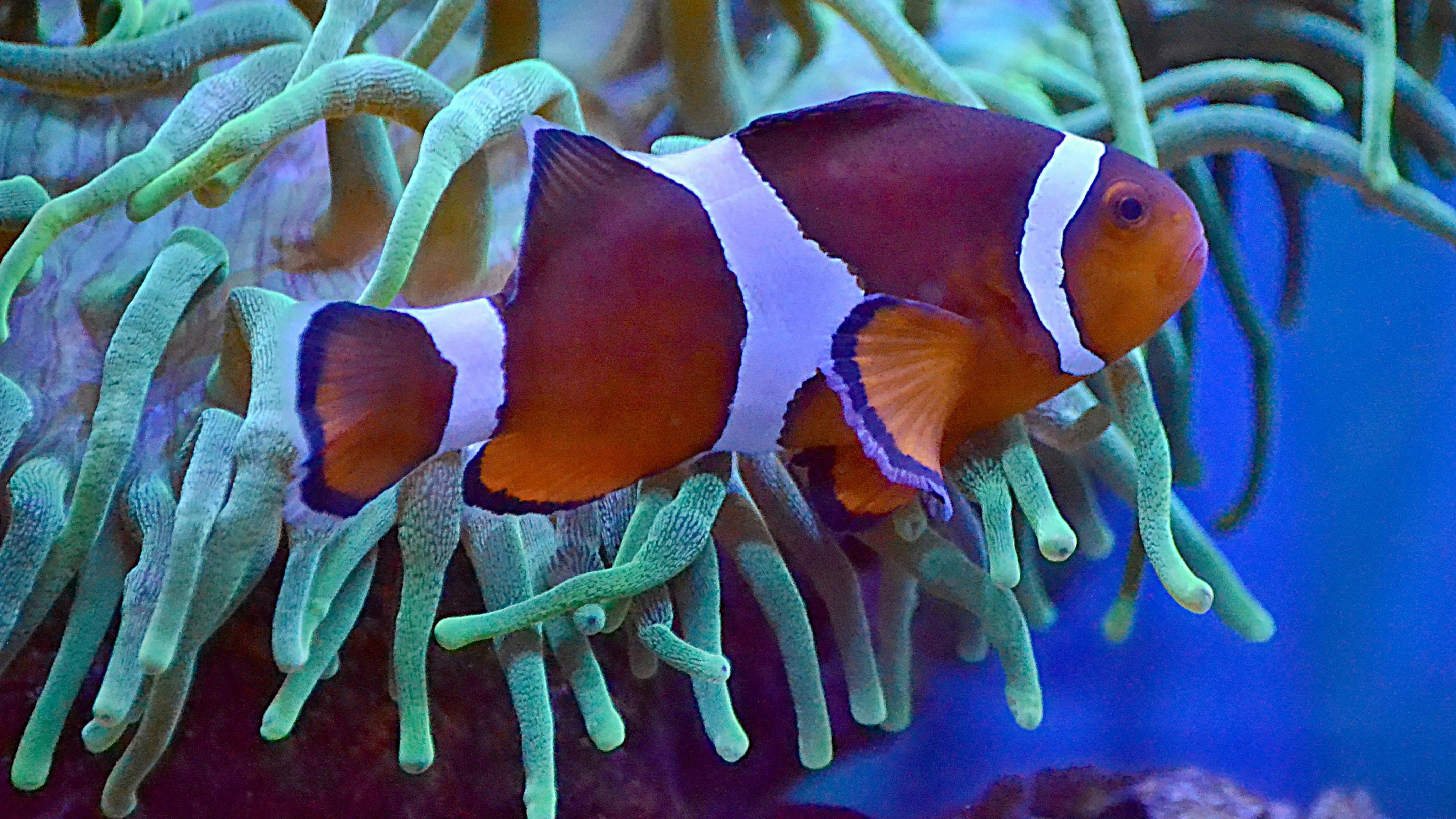 relaxing music #sleep #nature #waterfall #music #relaxingmusic #beutifull