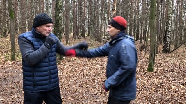 "Ласточка врезается в толпу" - 8-я форма 8-й Дорожки Чжитан багуа Лян