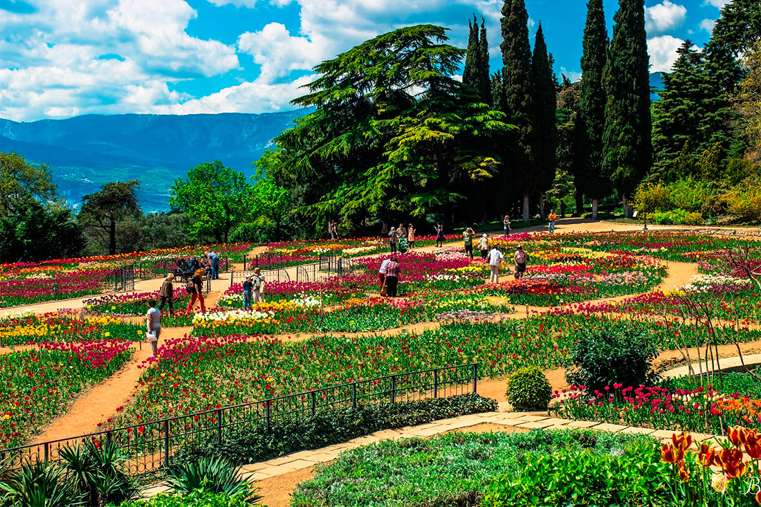 Эксперт по боингу...