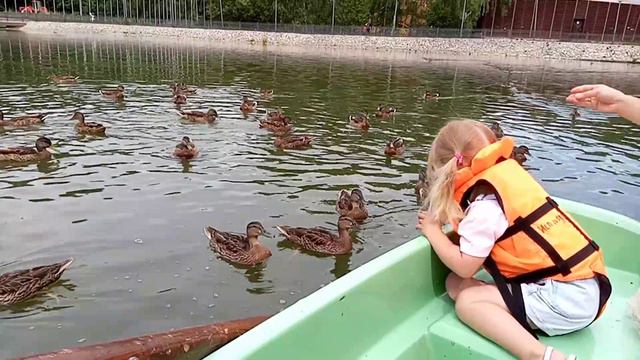 Весь 2021 год за 6 минут - короткие нарезки видео и слайдшоу