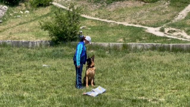 РО1, Коркина Наталья, нем овчарка Hedda Karaling Silva Kin. "Кубок Панды по Ралли Обидиенс 2022".