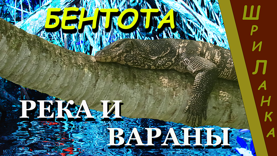 Бентота (Bentota). Шри-Ланка (Sri Lanka). Сафари на лодке.