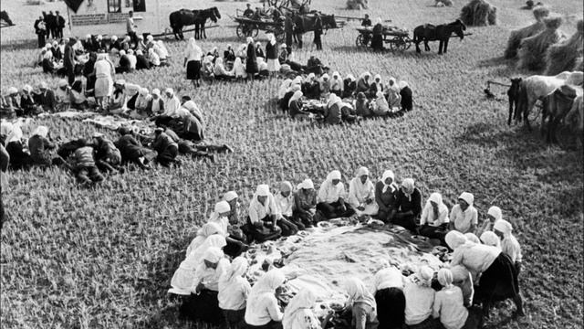 Владимир Ставский. Кубанские записи. Эпилог