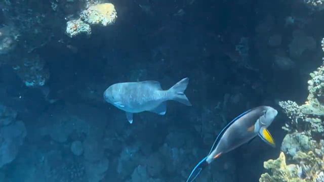 Египет март 23 вторая  серия