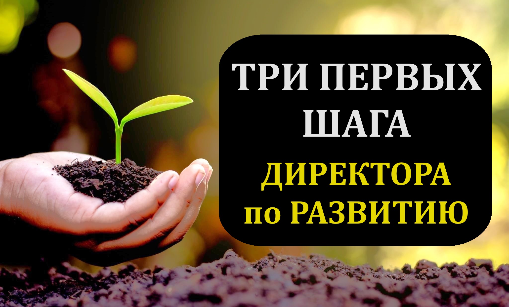 Три первых шага директора по развитию на новом месте работы