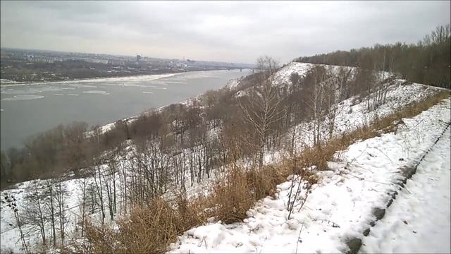 Цветочувствительность.mp4