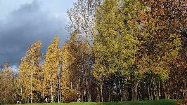 Осенняя пора.mp4